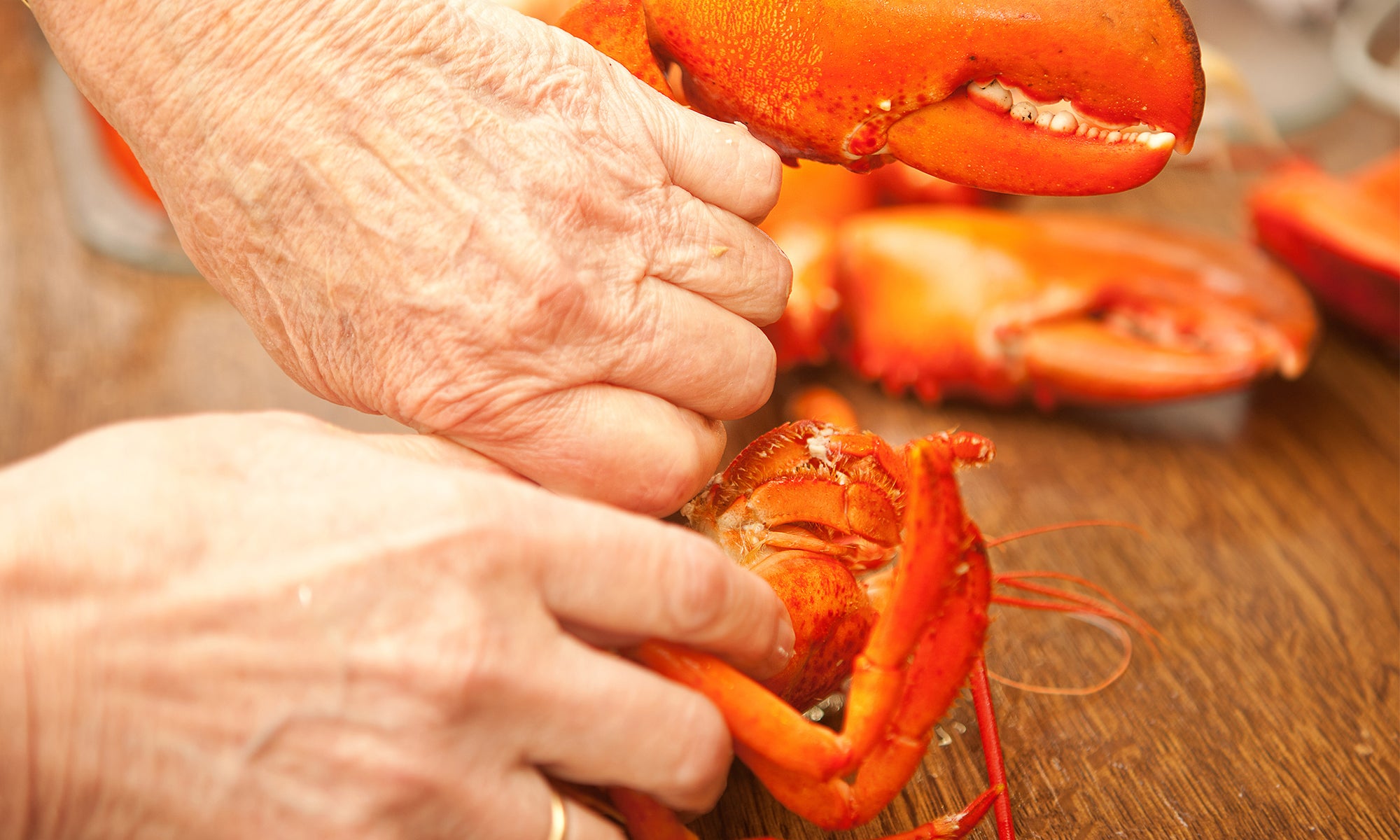 How to Eat a Lobster – Roger's Fish Co.