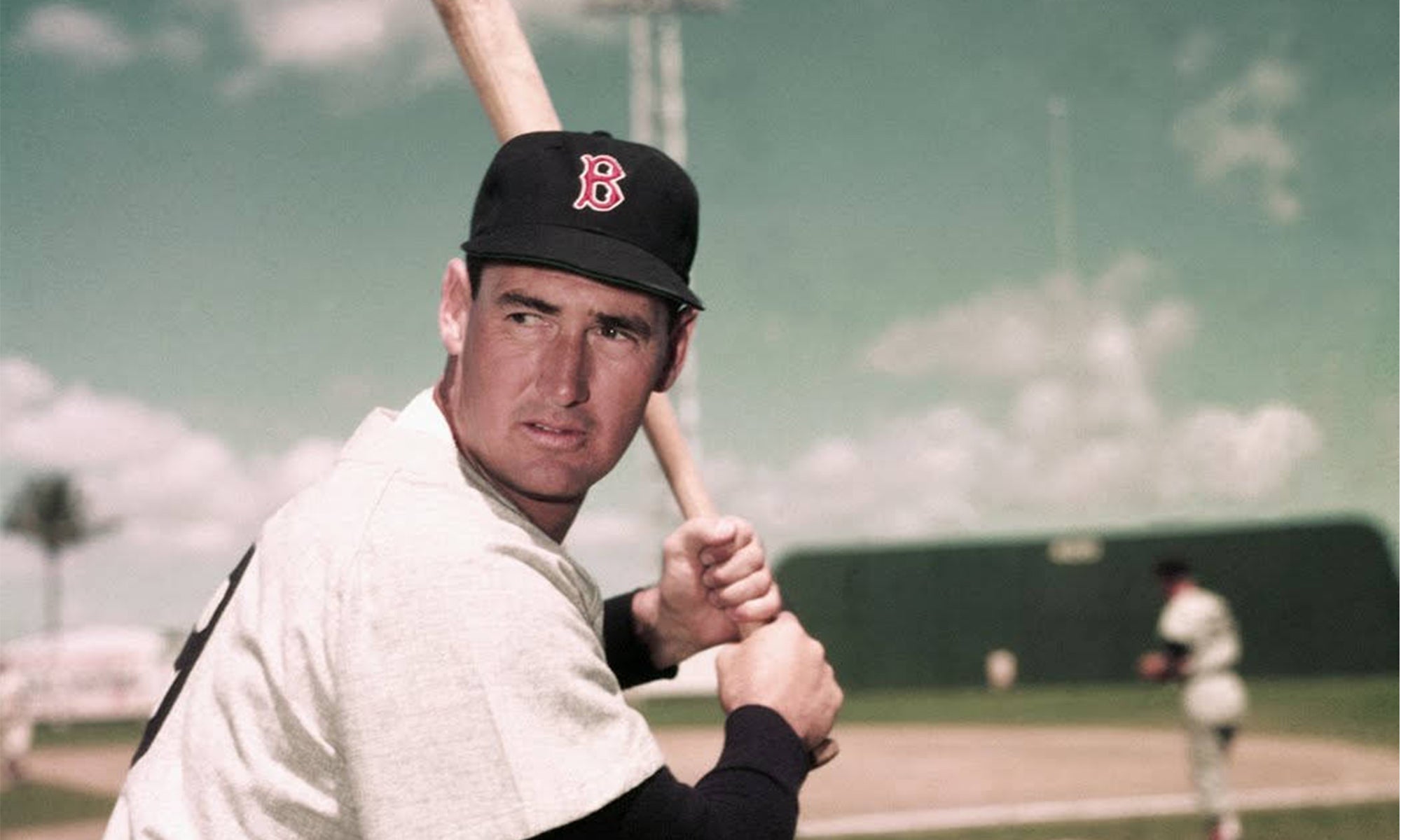 Mussels Au Gratin and The Ted Williams Effect: A Winning Combination ...