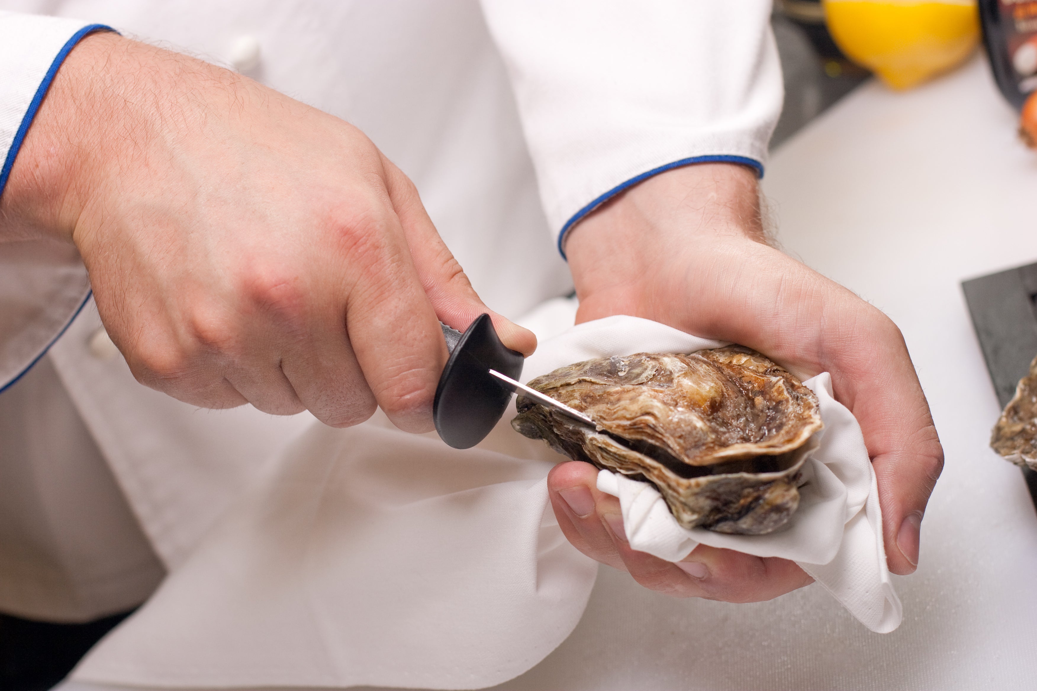 How to Shuck an Oyster – Roger's Fish Co.