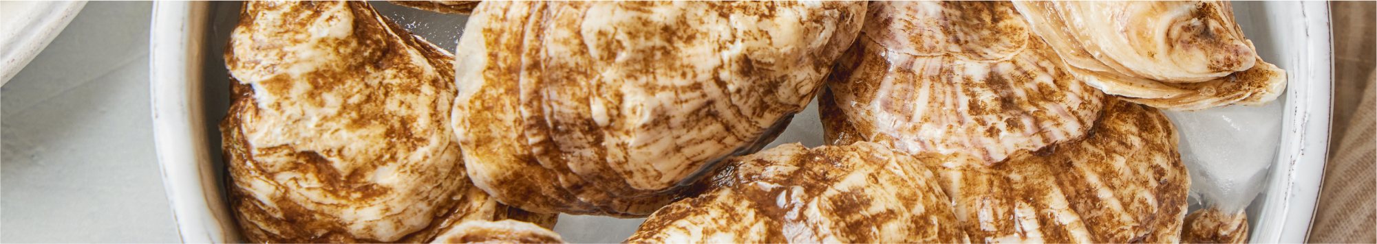 Oysters - Order Fresh Oysters Online - Premium Seafood Delivery – Roger ...