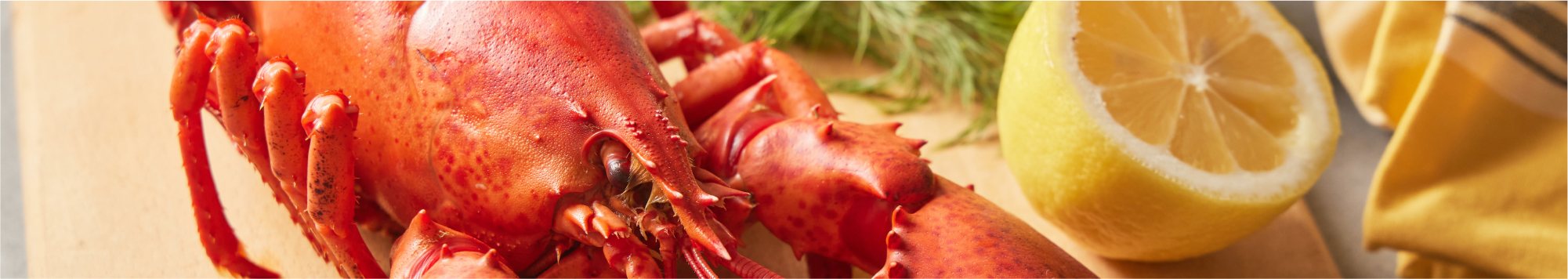 Lobster - Buy Lobster Online - Premium Seafood Delivery – Roger's Fish Co.
