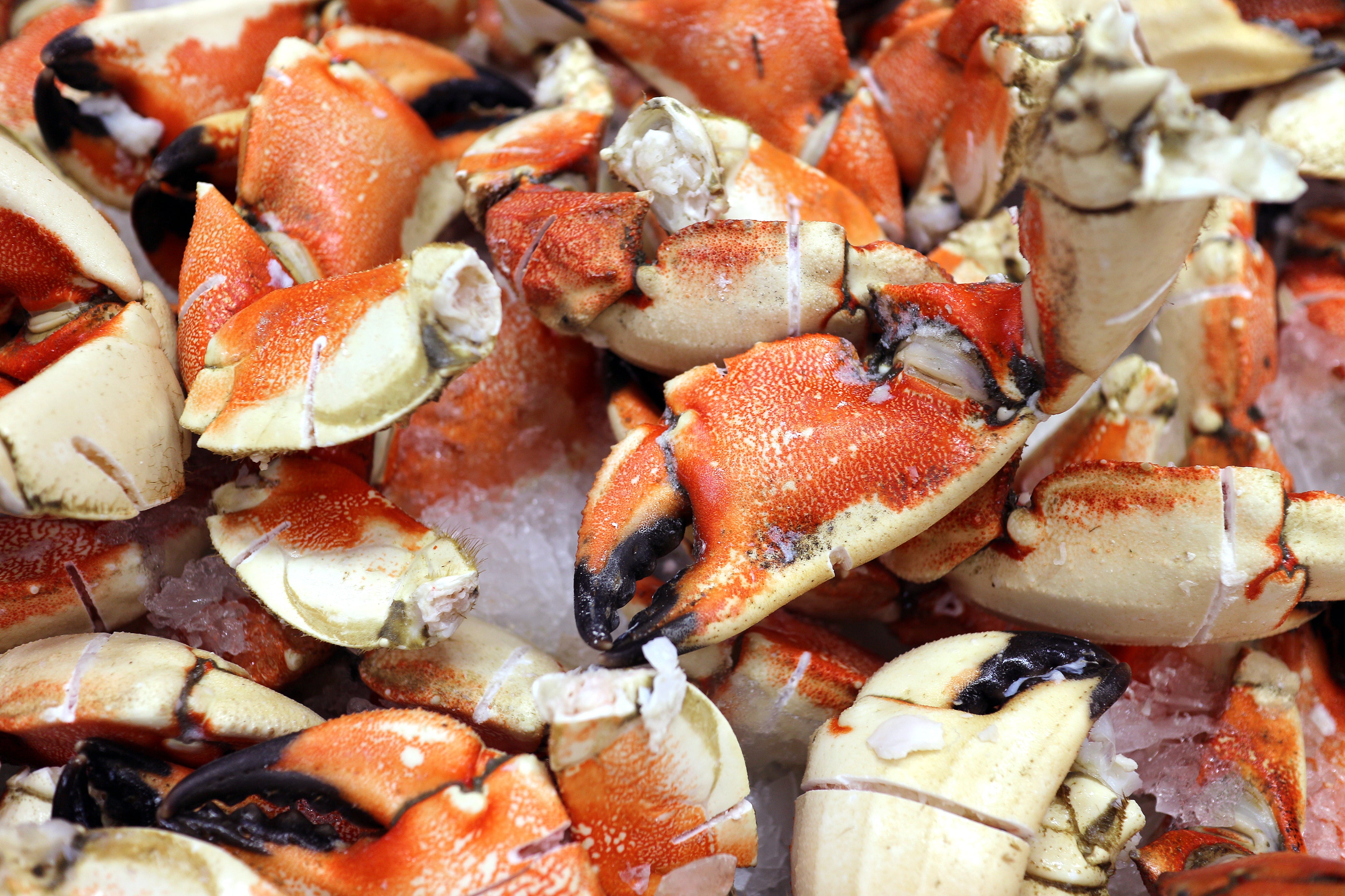 Limited Time Offerings – Roger's Fish Co.