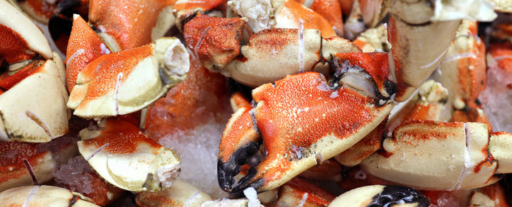 Roger's Fish Co. | Premium Seafood Shipped to Your Door
