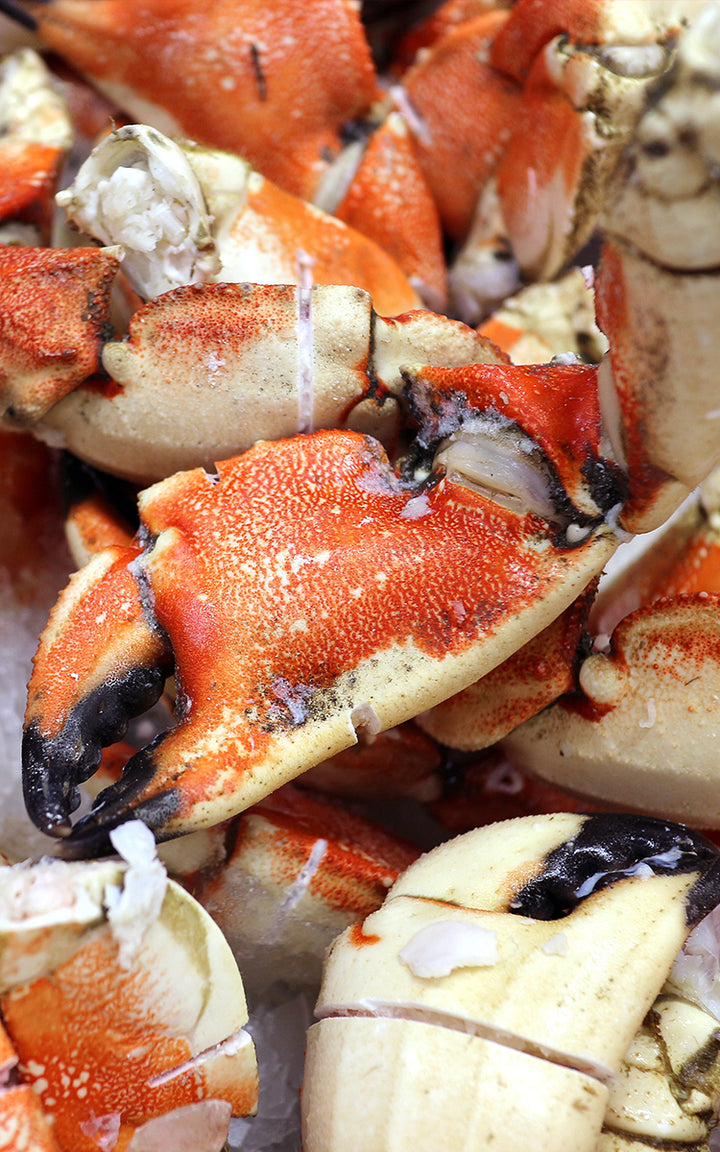 Roger's Fish Co. | Premium Seafood Shipped to Your Door